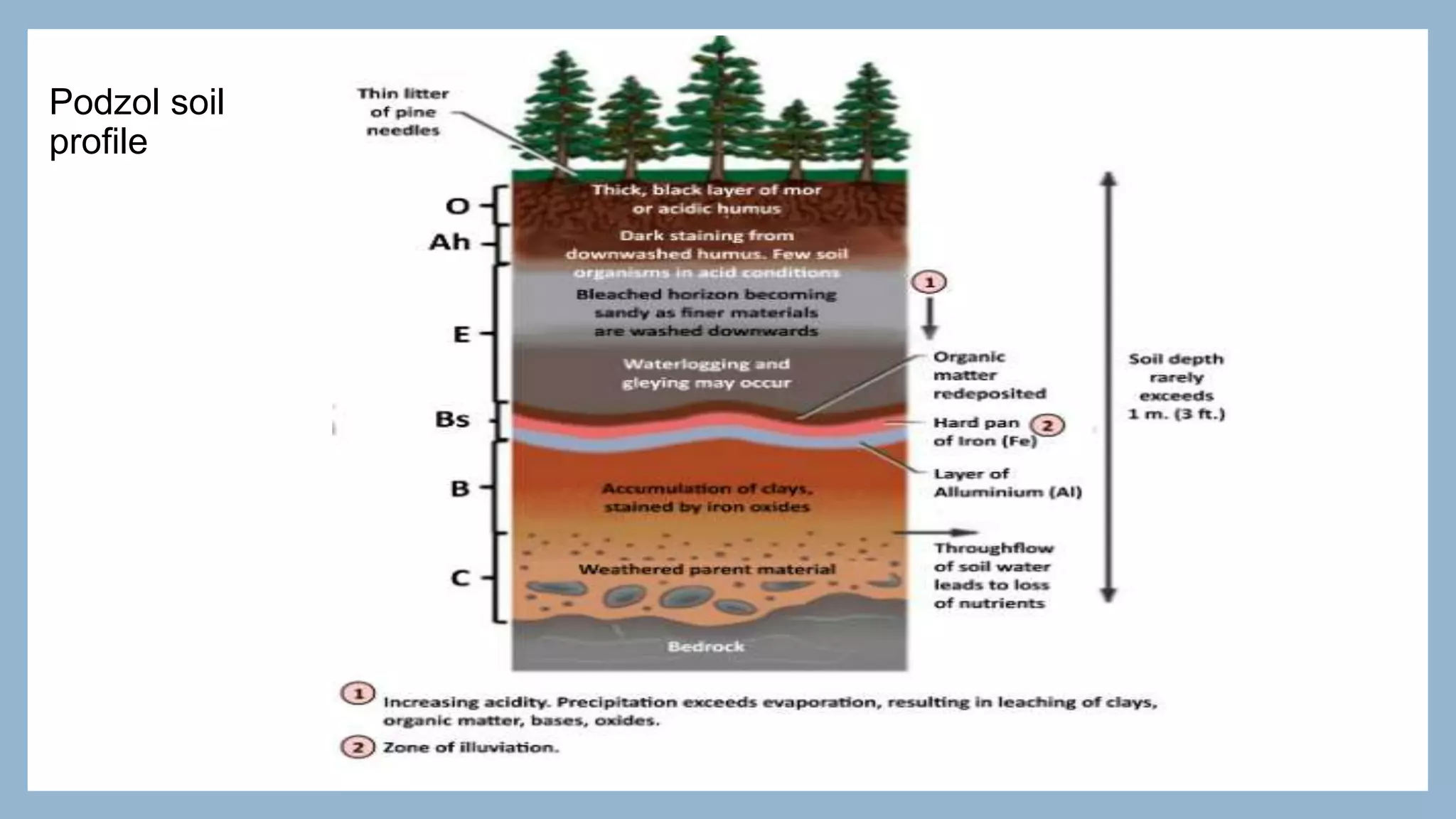 pedogenic processes-ppt 604.ppt