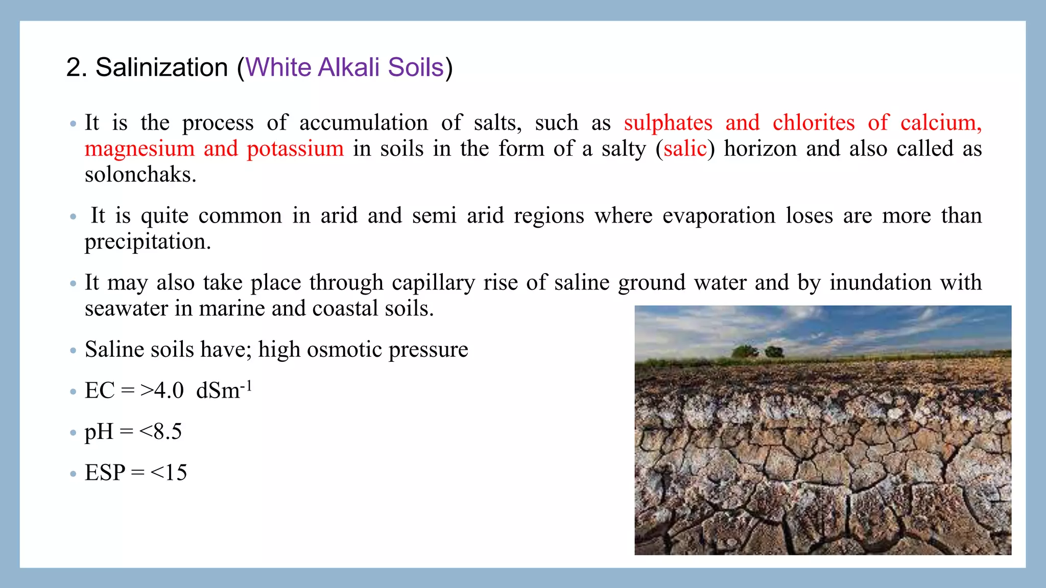 pedogenic processes-ppt 604.ppt
