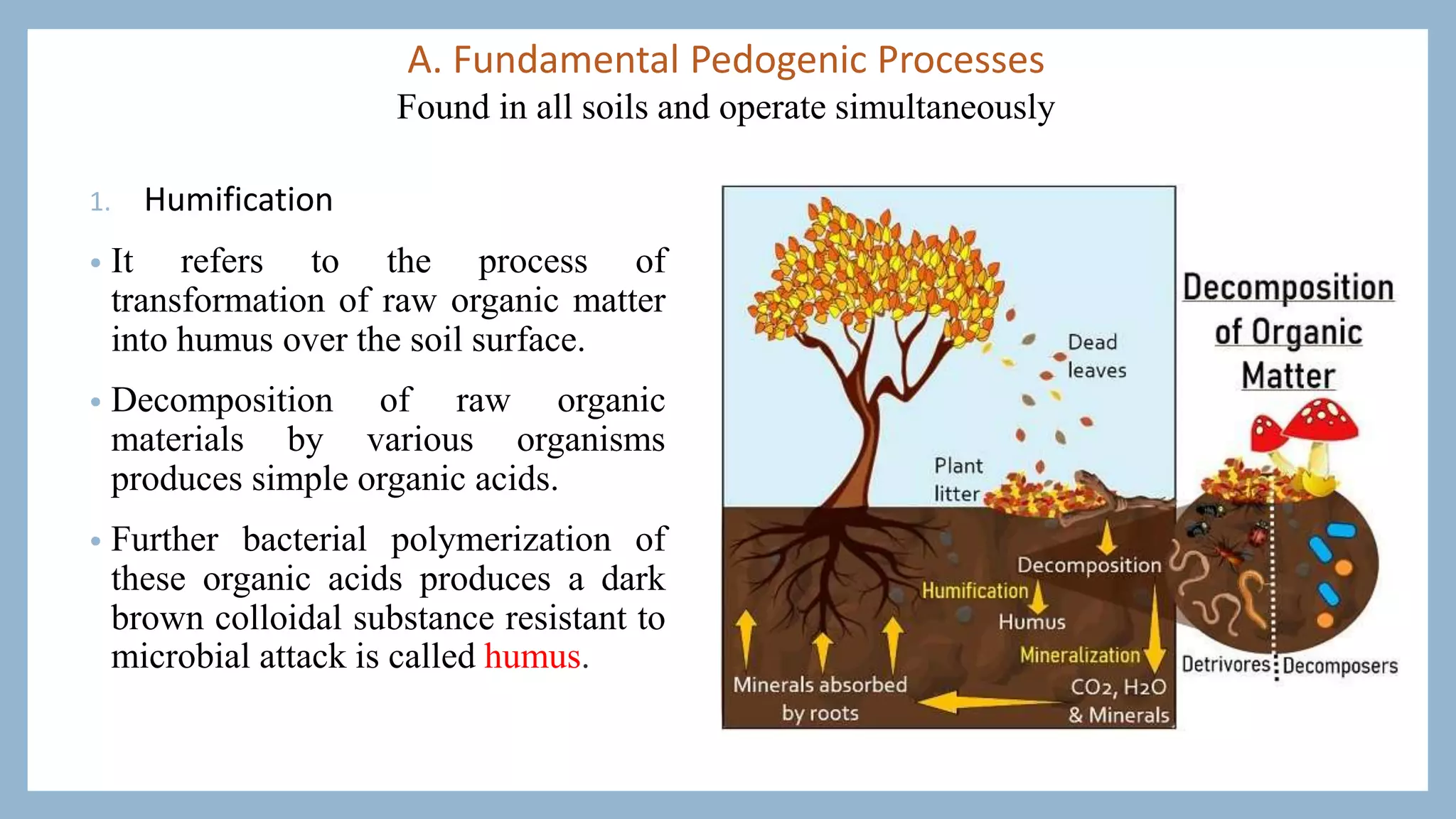 pedogenic processes-ppt 604.ppt