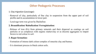 pedogenic processes-ppt 604.ppt