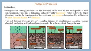 pedogenic processes-ppt 604.ppt