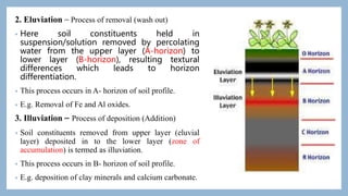 pedogenic processes-ppt 604.ppt