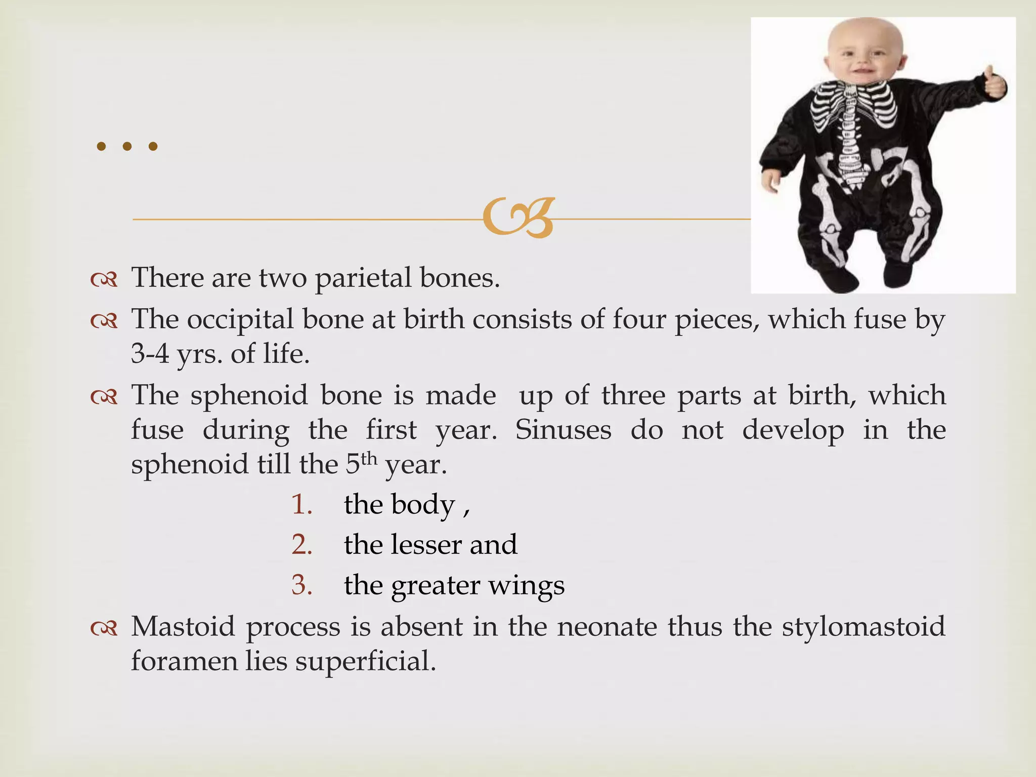 Pedologic anatomy | PPTX