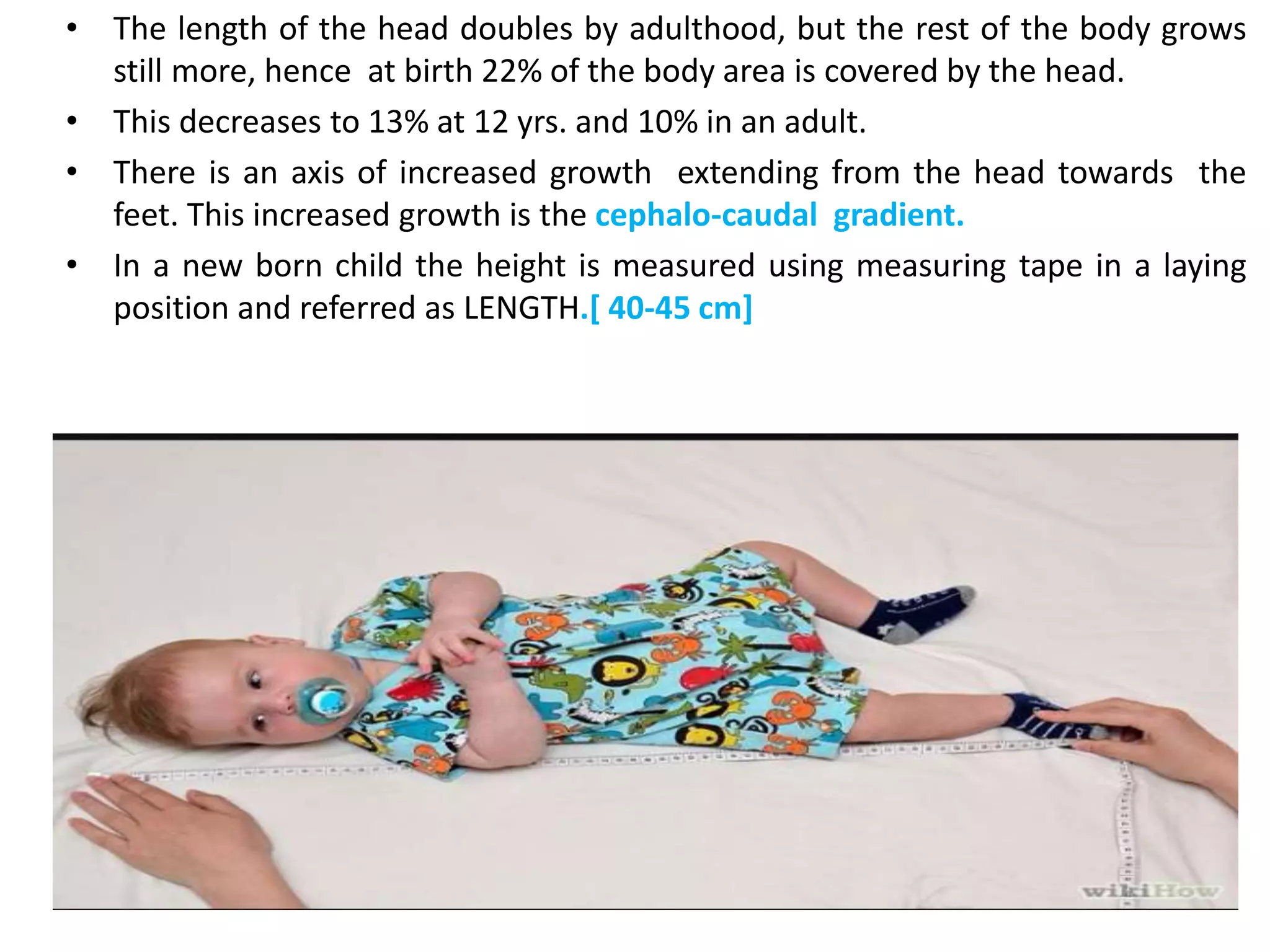 Pedologic anatomy | PPTX