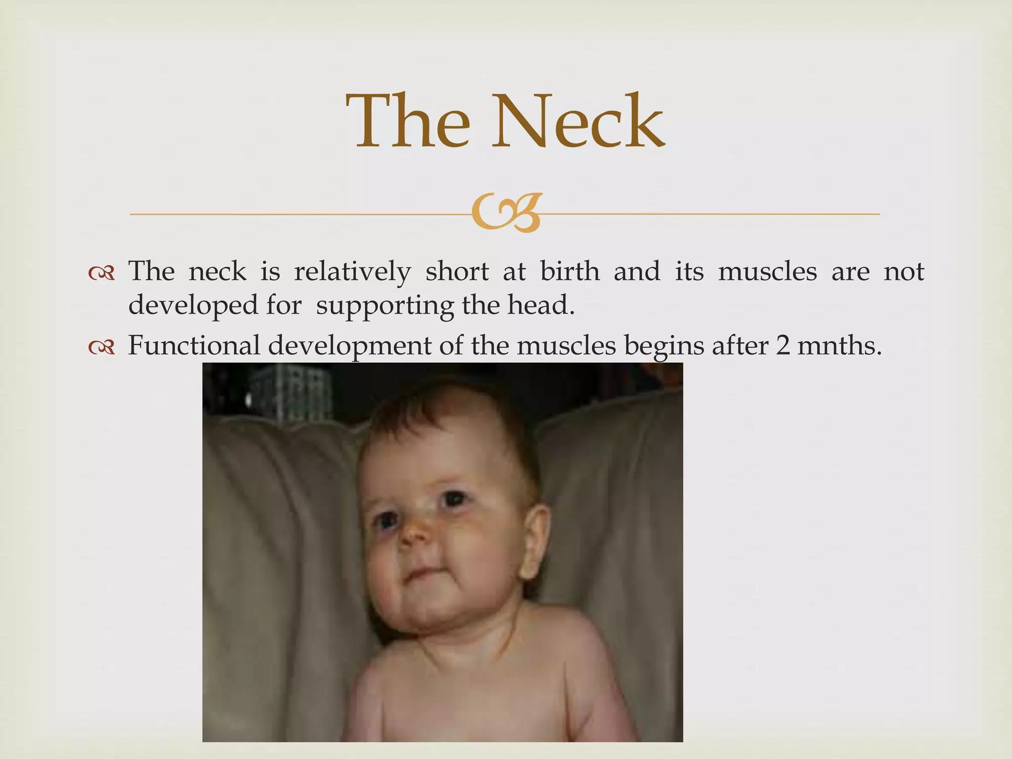 Pedologic anatomy | PPTX