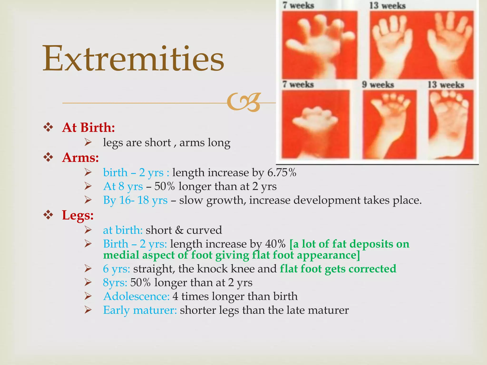 Pedologic anatomy | PPTX