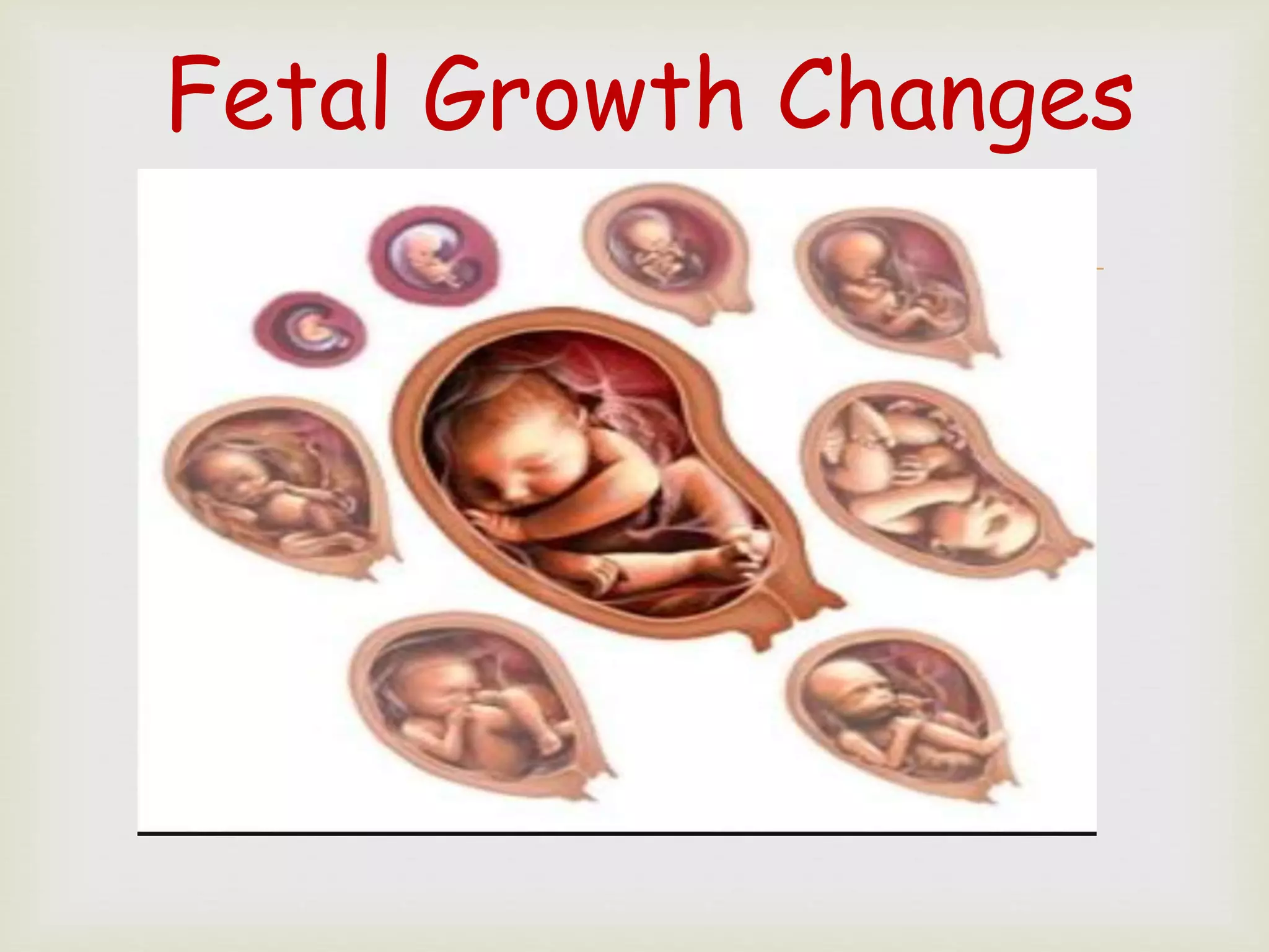 Pedologic anatomy | PPTX