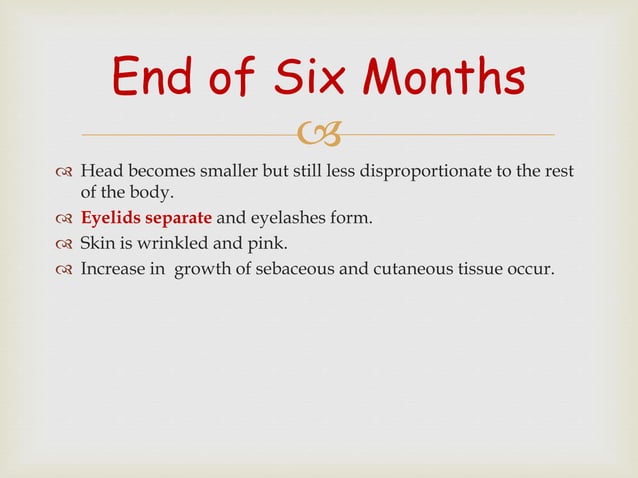 Pedologic anatomy | PPTX | Pregnancy | Reproductive Health