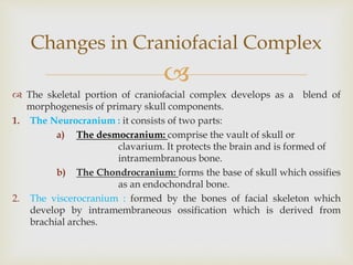 Pedologic anatomy | PPTX