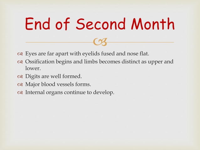 Pedologic anatomy | PPTX | Pregnancy | Reproductive Health