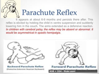 Pedologic anatomy | PPT