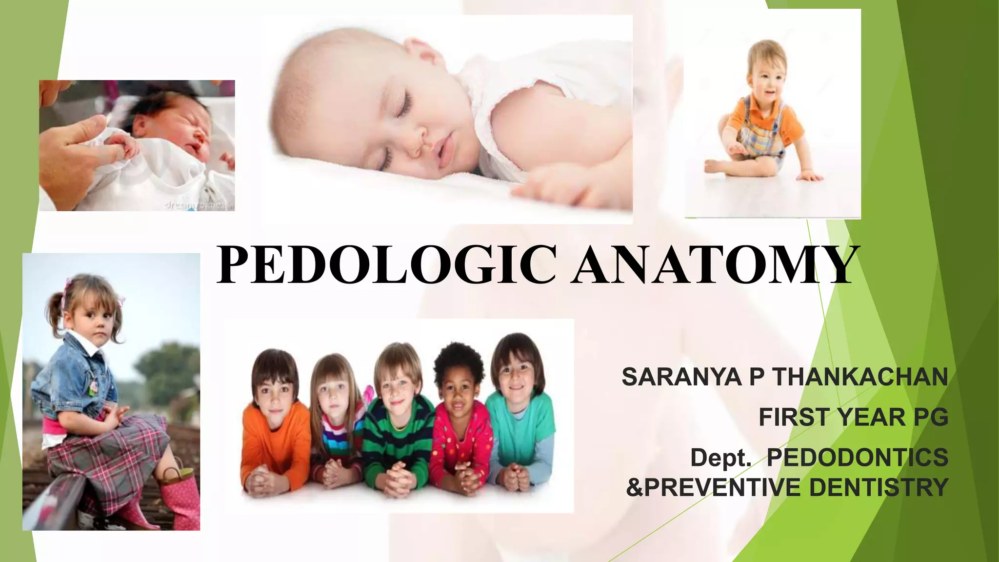 Pedologic Anatomy | PPTX
