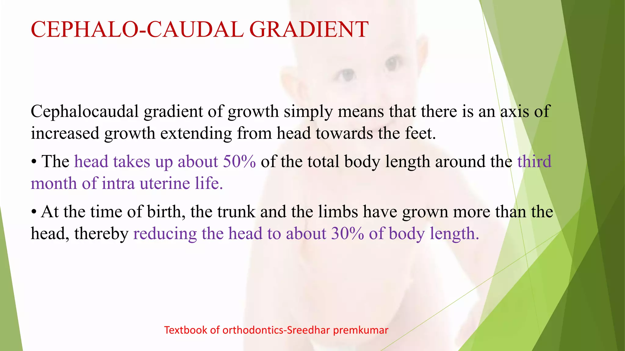 Pedologic Anatomy | PPTX