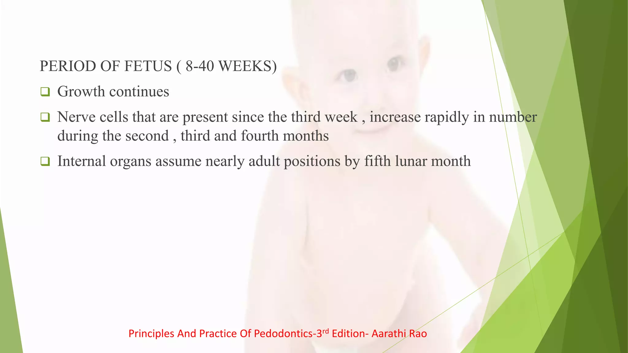 Pedologic Anatomy | PPTX