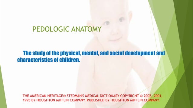 Pedologic Anatomy | PPTX