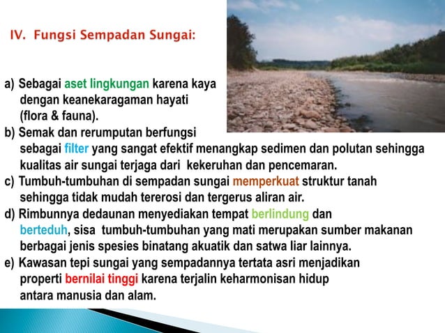 Pedoman kajian-penetapan-sempadan-sungai-dan-perijinan-pemanfaatan-sungai | PDF