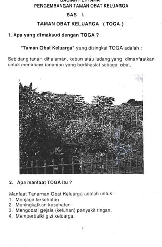 Pedoman kader dalam pengembangan tanaman obat keluarga 1991 | PDF