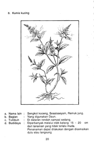 Pedoman kader dalam pengembangan tanaman obat keluarga 1991 | PDF