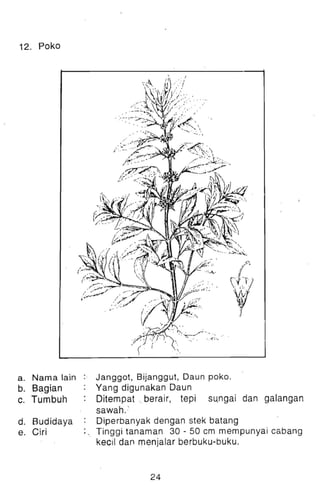 Pedoman kader dalam pengembangan tanaman obat keluarga 1991 | PDF
