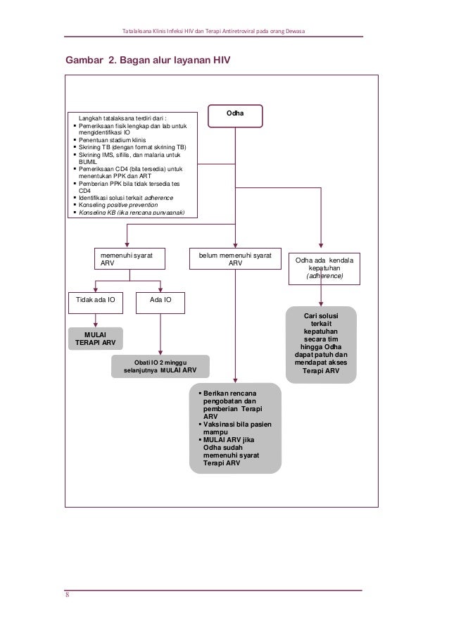 Tatalaksana Klinis Infeksi HIV dan Terapi Antiretroviral