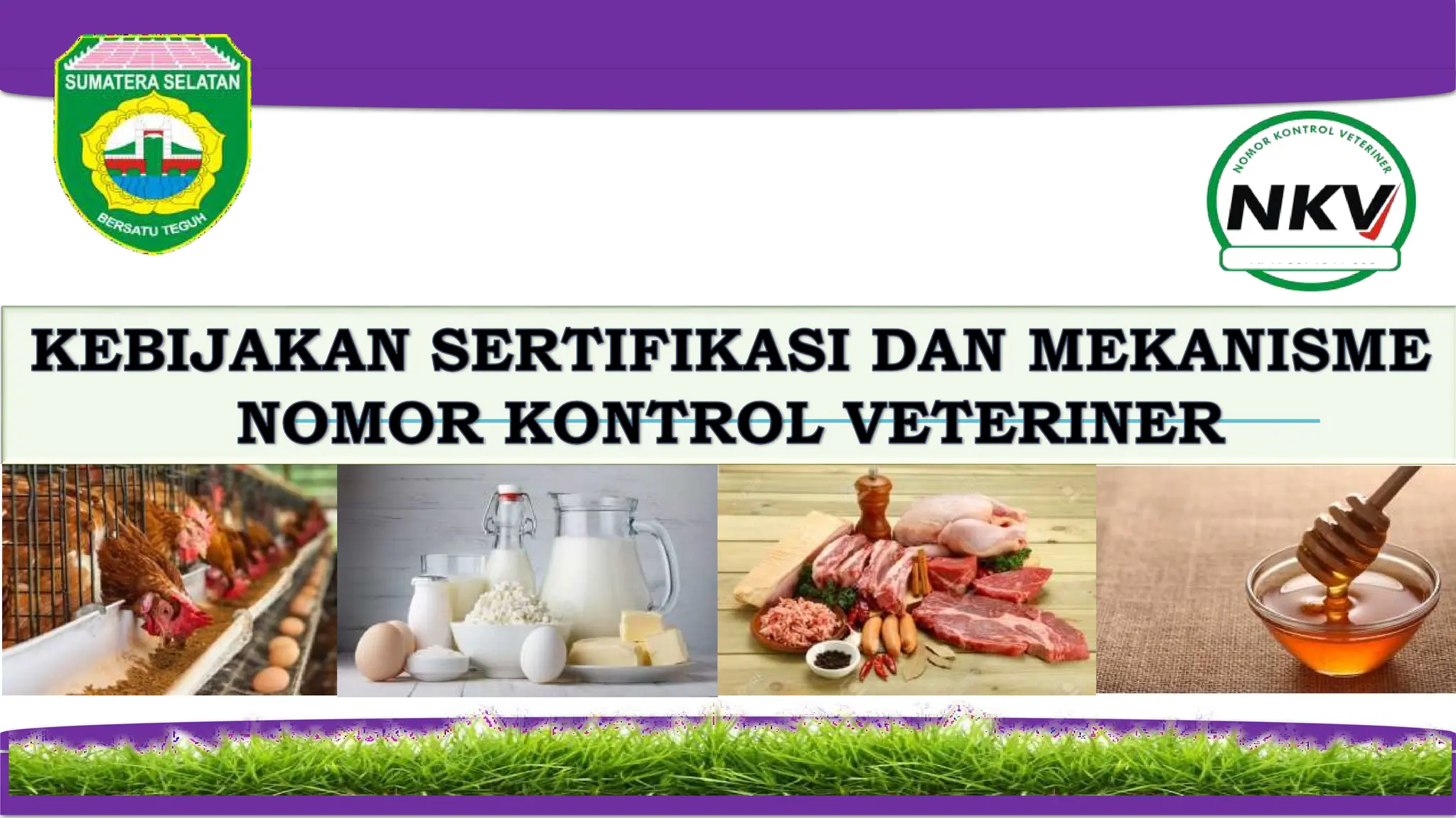 Pedoman_NKV_ kebijakan NKV Nasional pdf.pptx