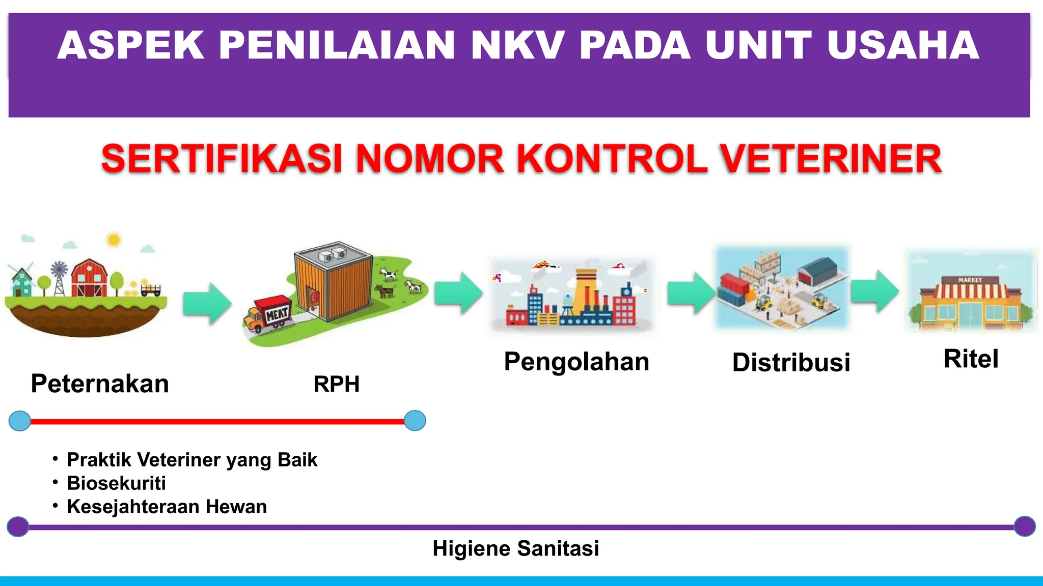 Pedoman_NKV_ kebijakan NKV Nasional pdf.pptx