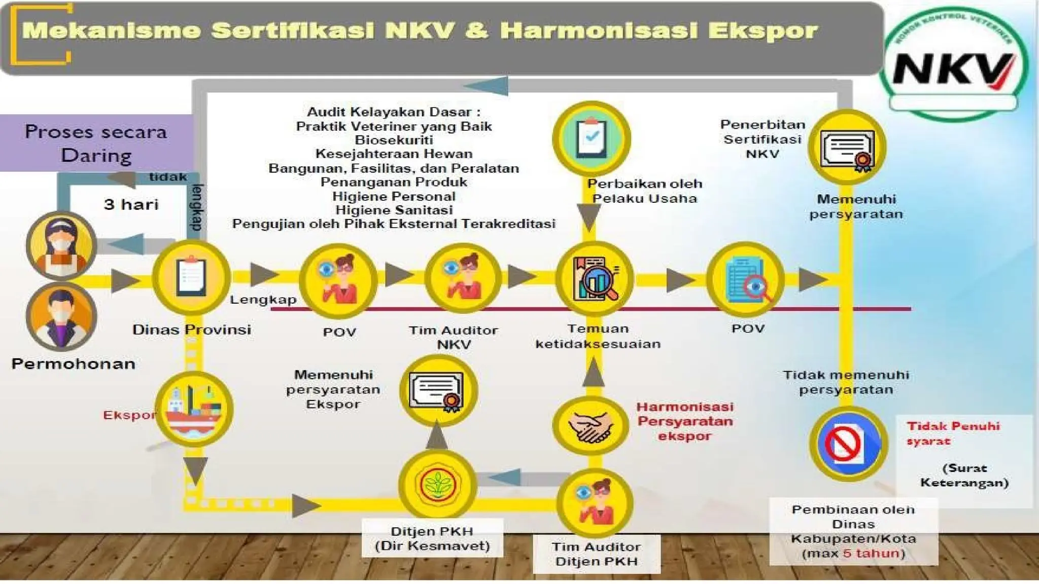 Pedoman_NKV_ kebijakan NKV Nasional pdf.pptx
