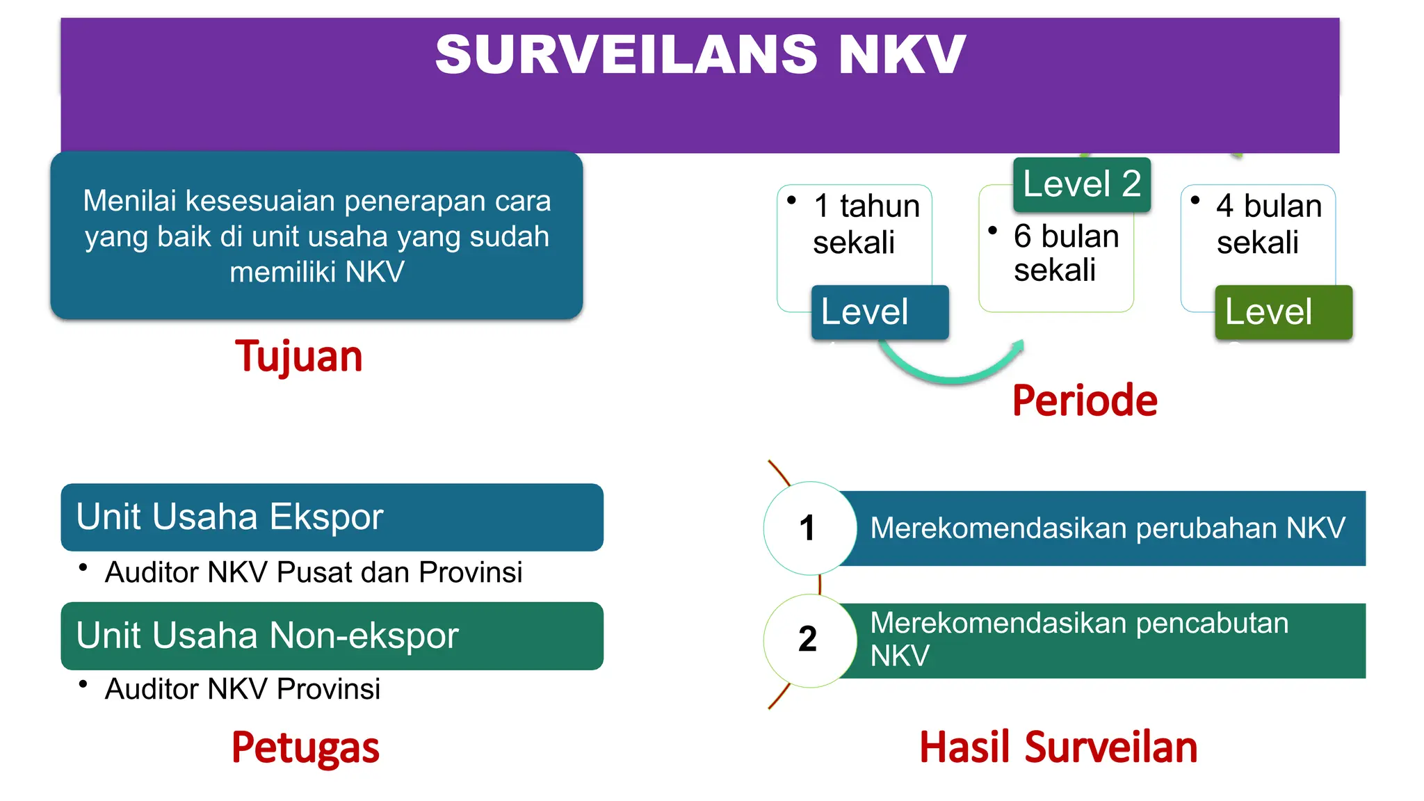 Pedoman_NKV_ kebijakan NKV Nasional pdf.pptx
