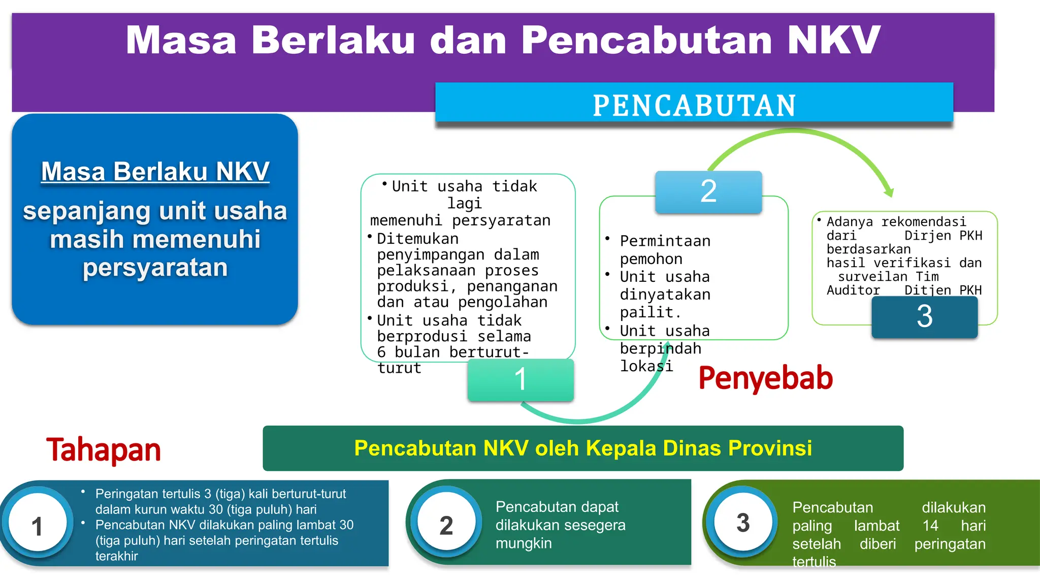 Pedoman_NKV_ kebijakan NKV Nasional pdf.pptx