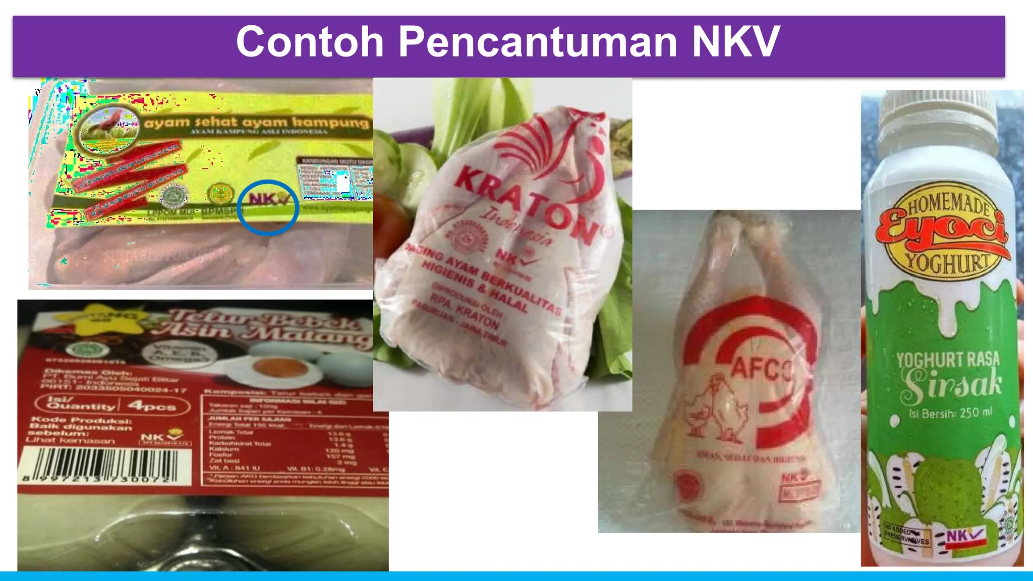 Pedoman_NKV_ kebijakan NKV Nasional pdf.pptx