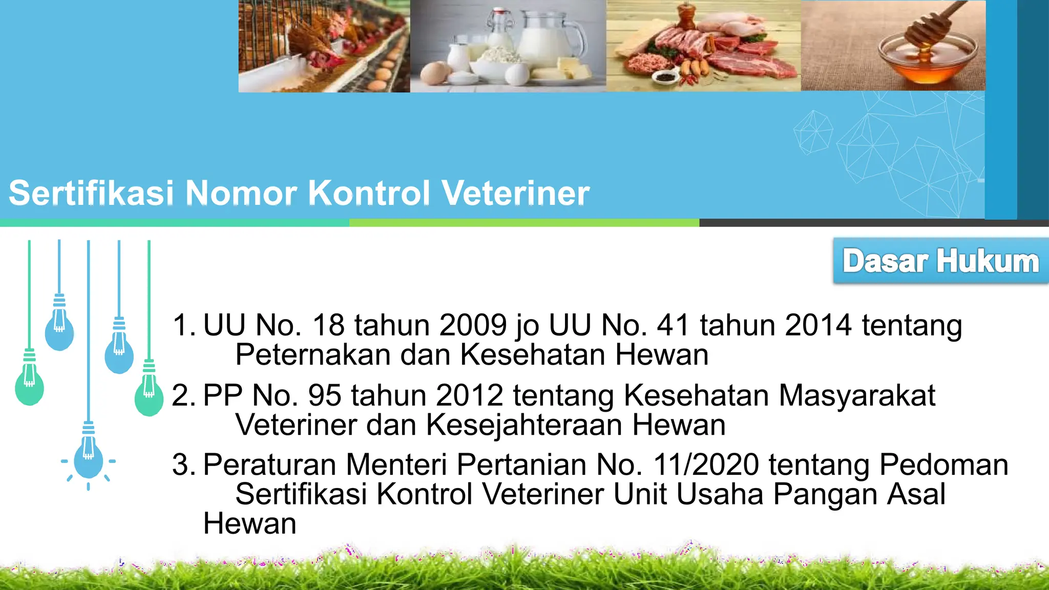 Pedoman_NKV_ kebijakan NKV Nasional pdf.pptx