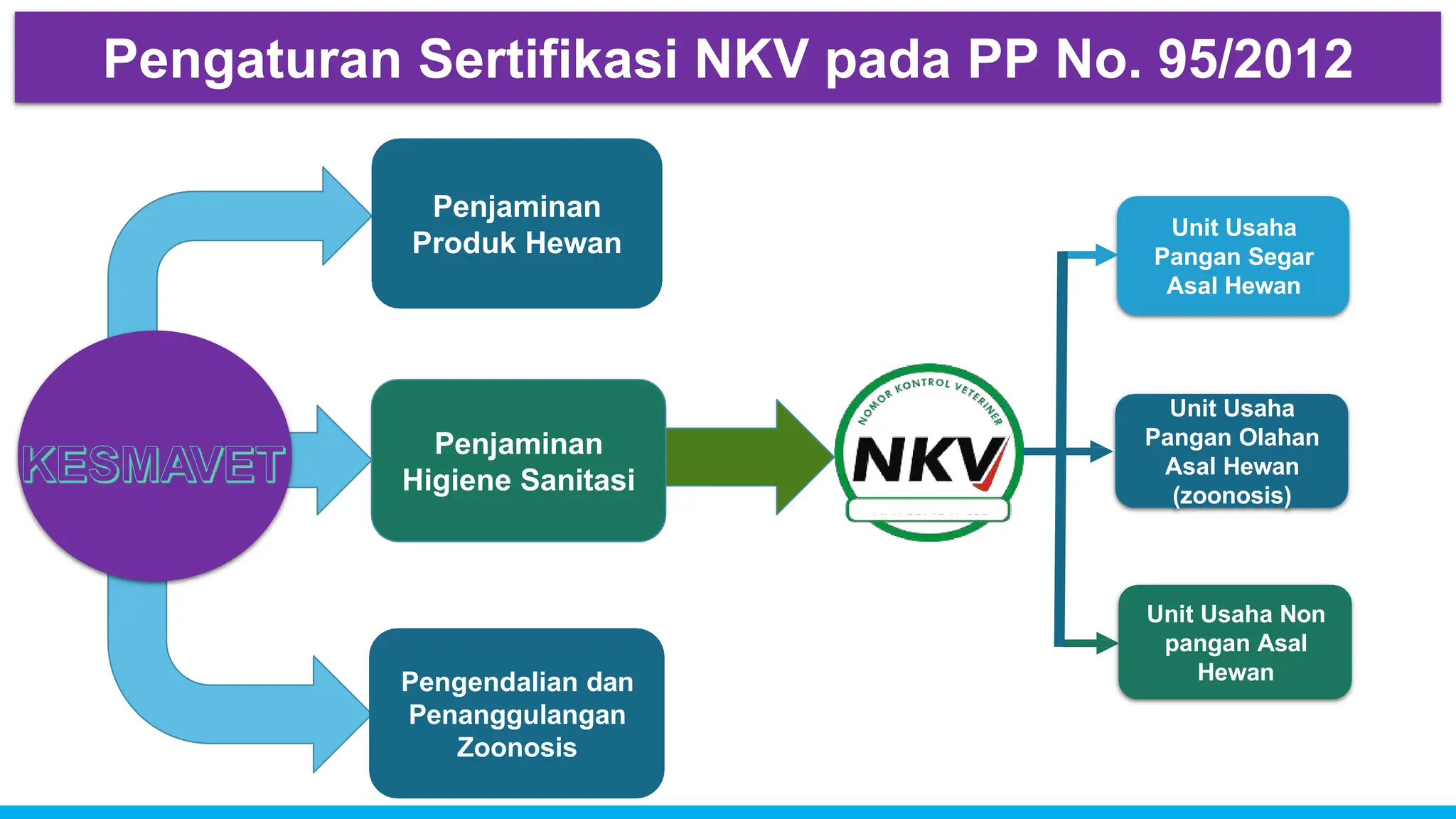 Pedoman_NKV_ kebijakan NKV Nasional pdf.pptx