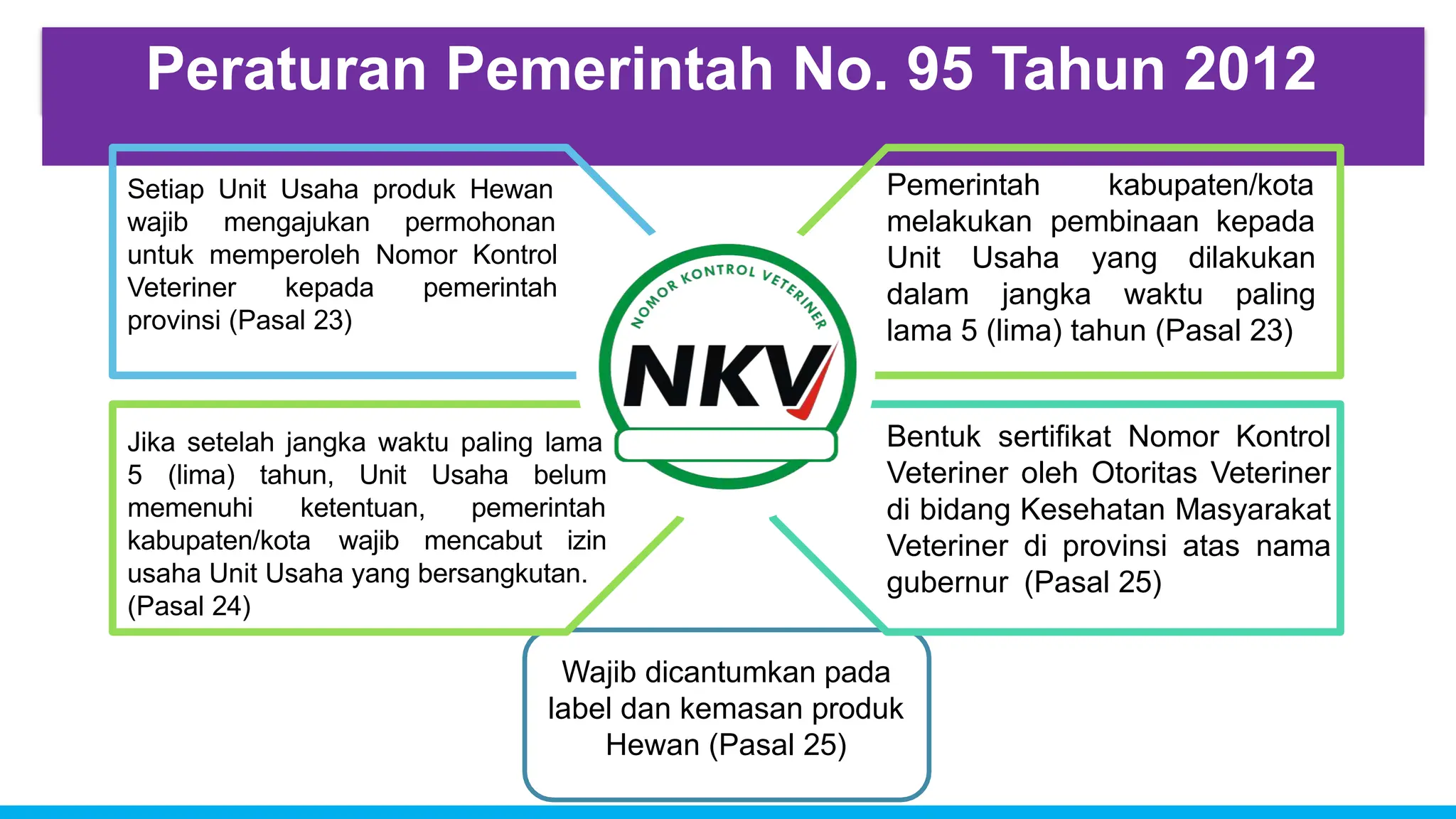 Pedoman_NKV_ kebijakan NKV Nasional pdf.pptx