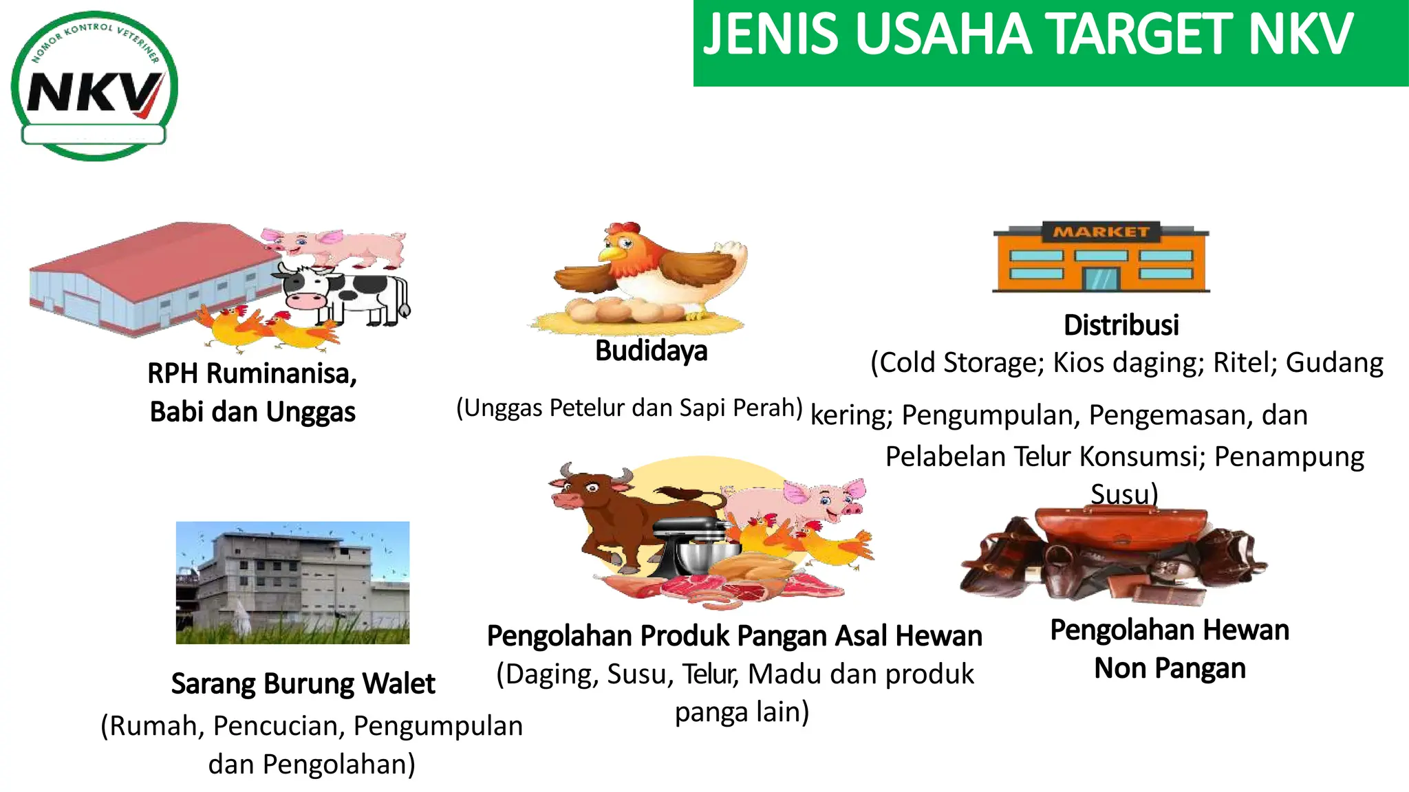 Pedoman_NKV_ kebijakan NKV Nasional pdf.pptx