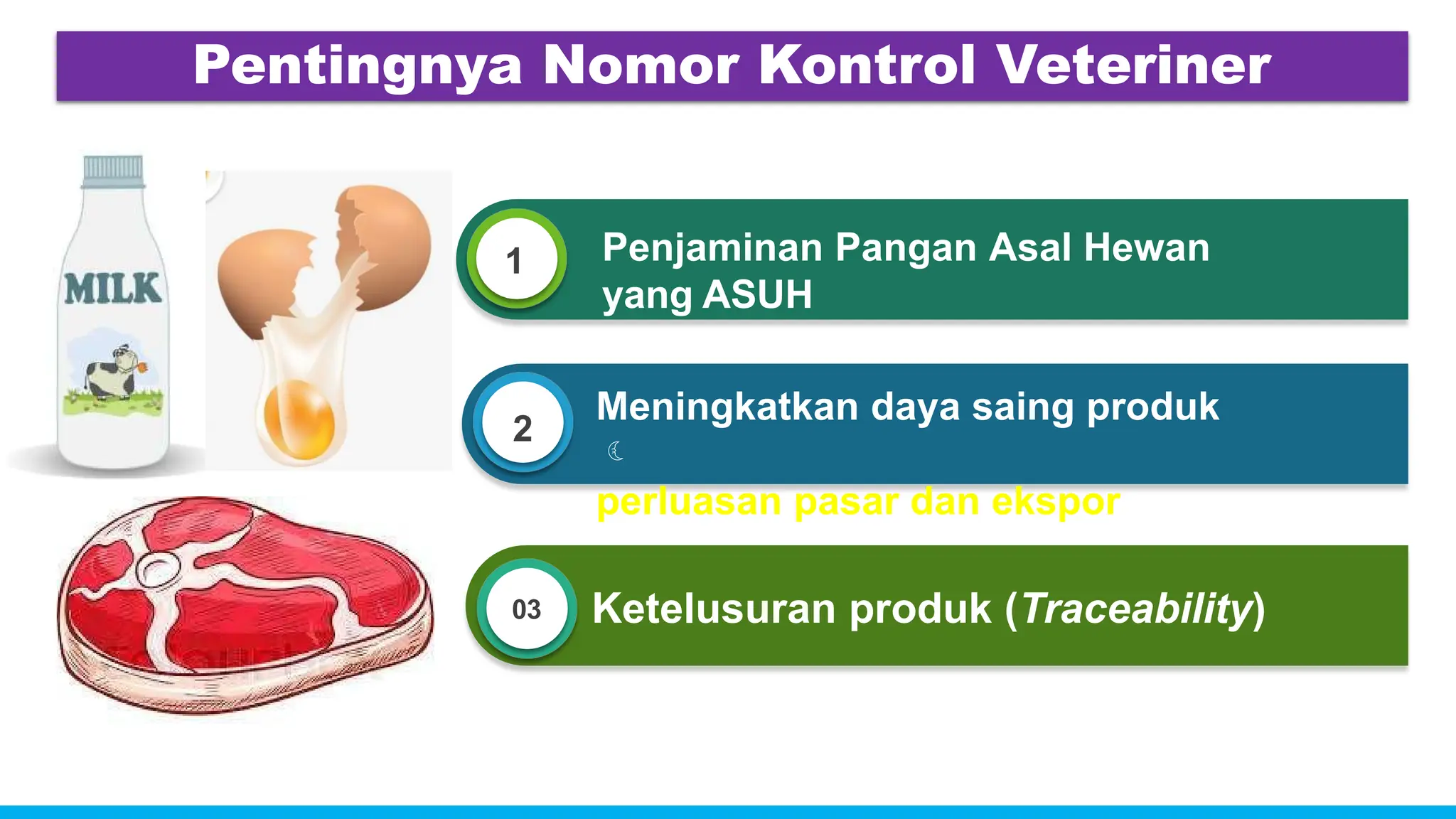 Pedoman_NKV_ kebijakan NKV Nasional pdf.pptx