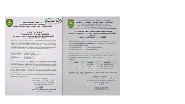 Pedoman_NKV_ kebijakan NKV Nasional pdf.pptx