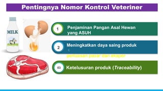 Pedoman_NKV_ kebijakan NKV Nasional pdf.pptx