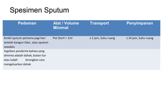 Pedoman Pengelolaan Spesimen Untuk Laboratorium Mikrobiologi Klinik | PPT