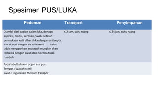 Pedoman Pengelolaan Spesimen Untuk Laboratorium Mikrobiologi Klinik | PPT