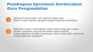 Pedoman Pengelolaan Spesimen Untuk Laboratorium Mikrobiologi Klinik | PPT