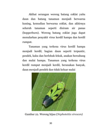 Pedoman pengendalian hama terpadu | PDF