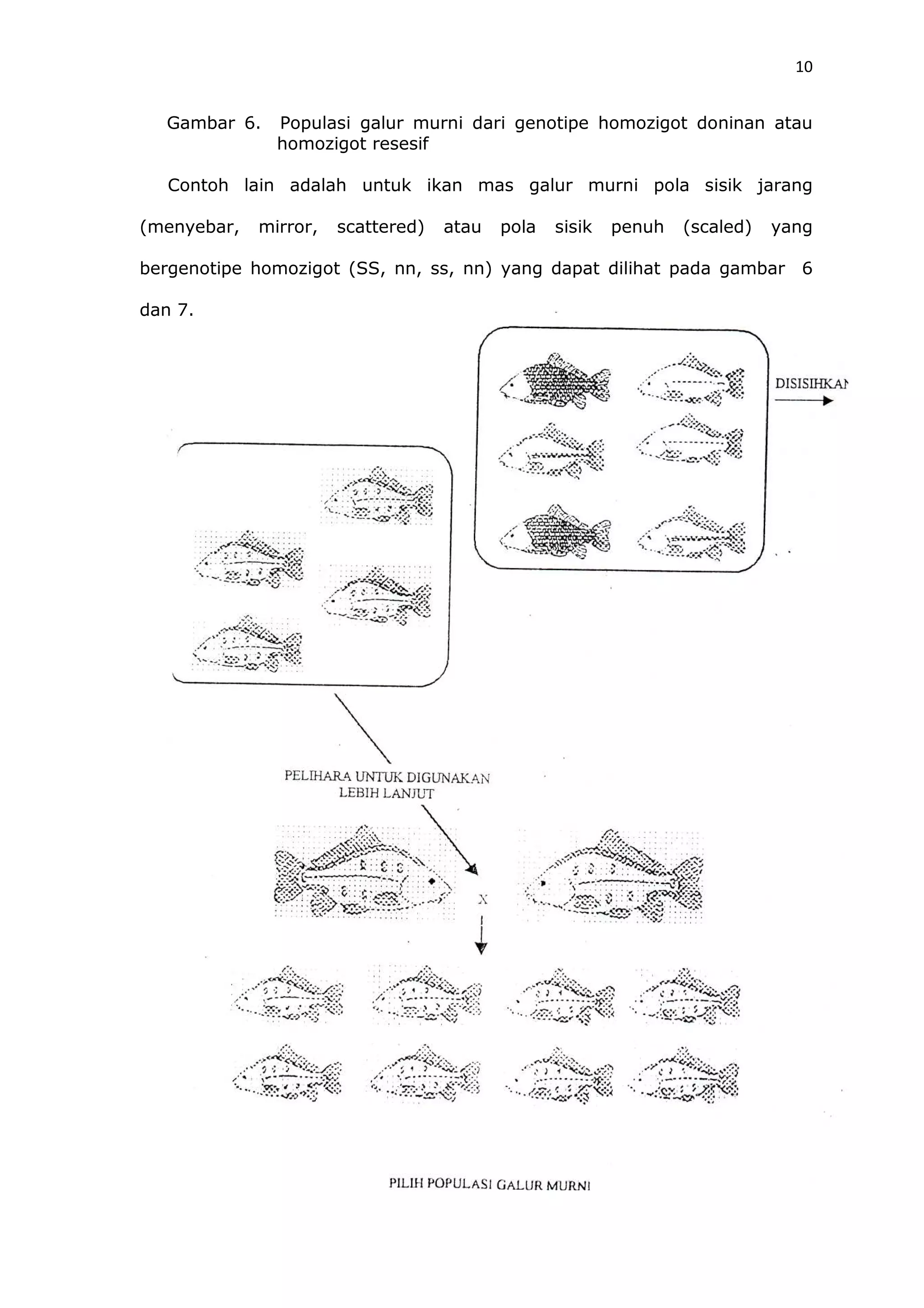 Pedoman pengkajian fenotip kualitatif | PDF