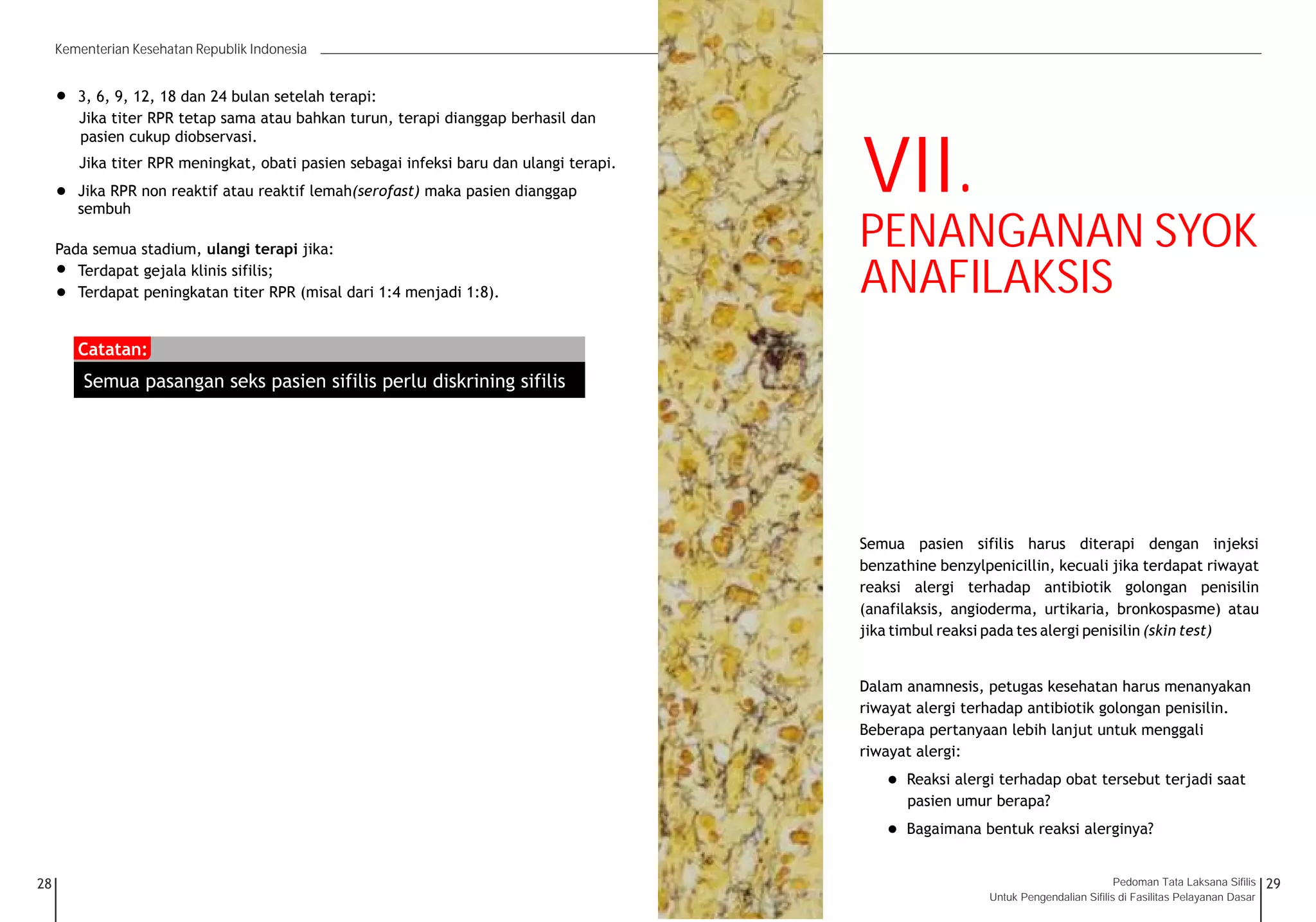 PEDOMAN_TATALAKSANA_SIFILIS_PUSKESMAS___merah_ok-1.pdf