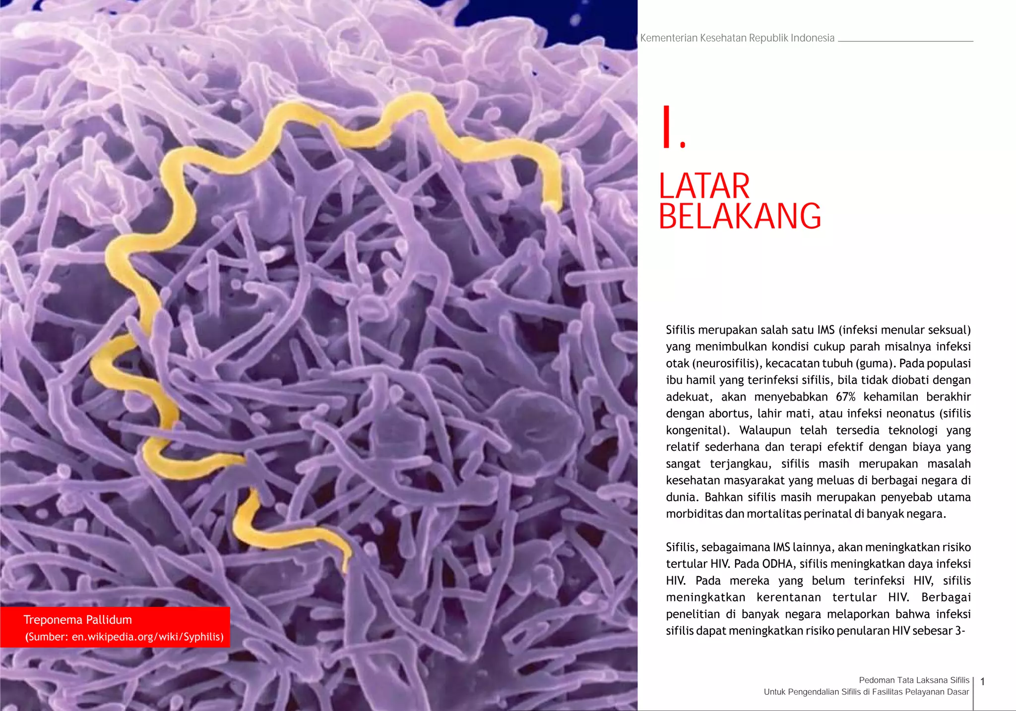 PEDOMAN_TATALAKSANA_SIFILIS_PUSKESMAS___merah_ok-1.pdf