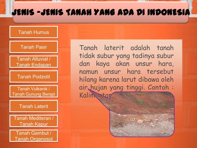 Pedosfer, Tanah (Geografi Kelas X) | PPTX