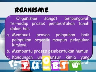 Pedosfer, Tanah (Geografi Kelas X) | PPTX