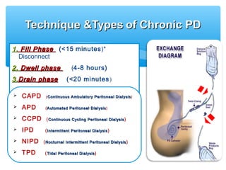Ped pd ismailia | PPT