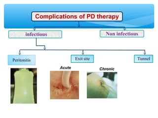 Ped pd ismailia | PPT
