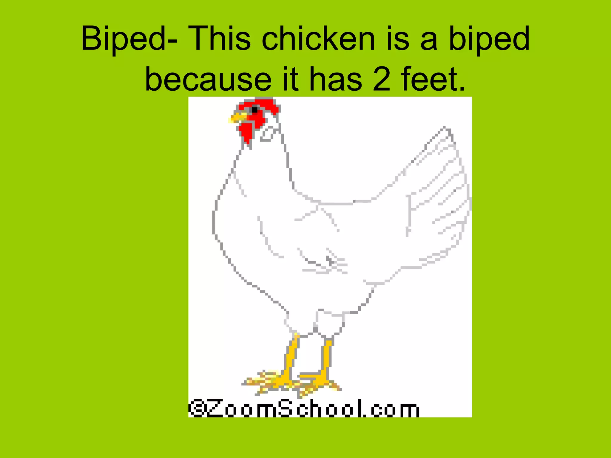 Ped, Pod= foot | PPT