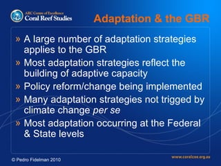 Adapting to Climate Change at Multiple Governance Levels | PPT